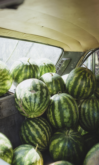 Luxury Holidays Georgia | Original Travel