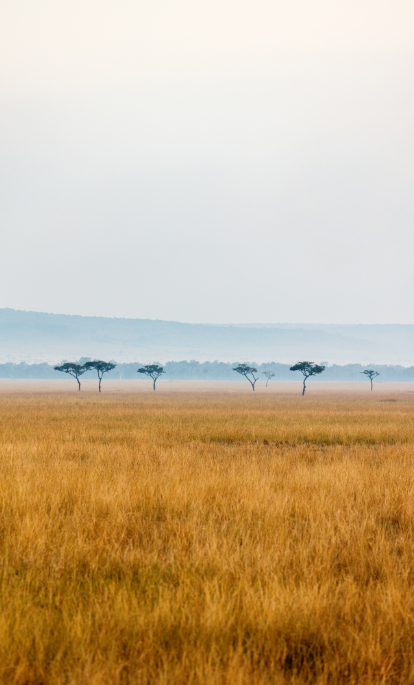 Tailor-made Samburu, Meru & the North holidays 2025/2026 - Original Travel