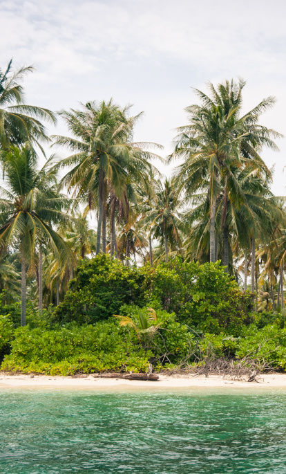 Tailor-made Sumatra holidays 2026/2027 - Original Travel