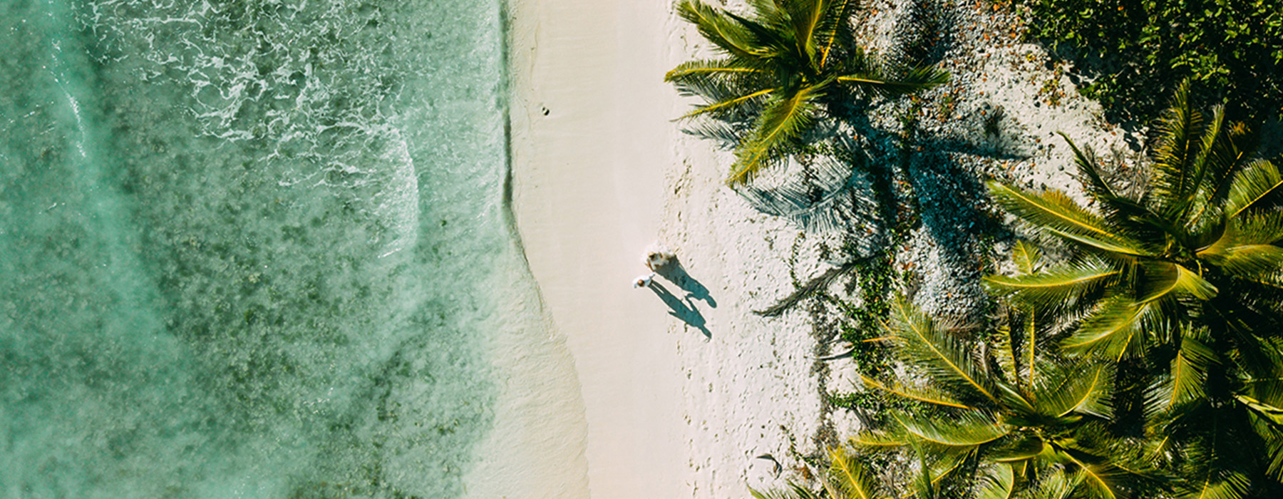 Luxury Maximoons | 2025/2026 - Original Travel