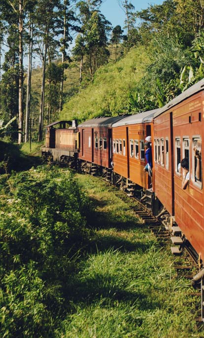 Mauritius Culture : Language, Religion, Food - Original Travel